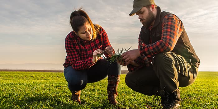 Isagri - Lider european in informatica pentru agricultura